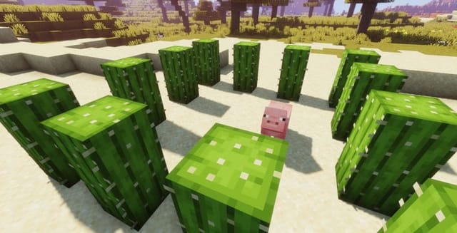 Cactus in Minecraft: Everything players need to know