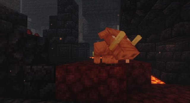 Hoglins in Minecraft: Everything players need to know