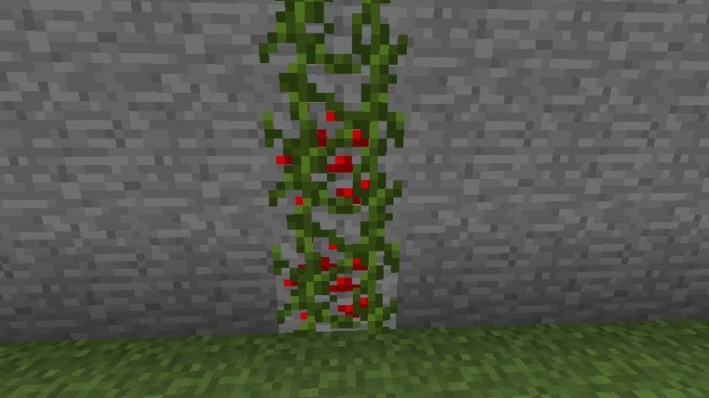 Top 5 uses for Minecraft vines