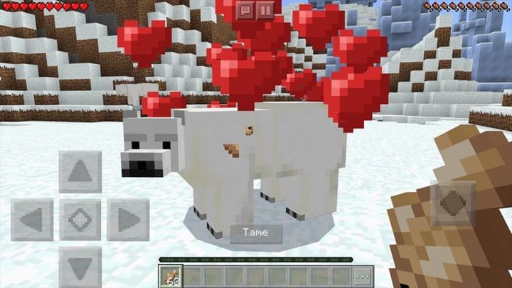 How to breed polar bears in Minecraft
