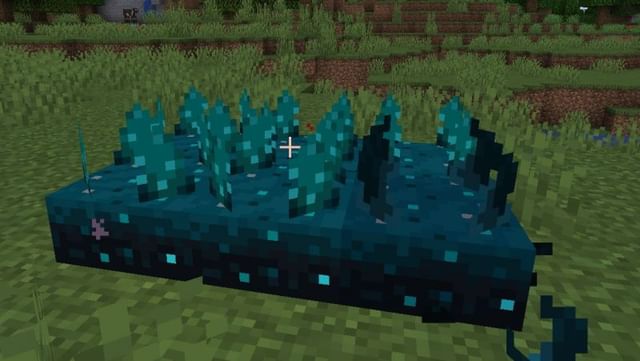 Minecraft How does the Sculk Sensor work