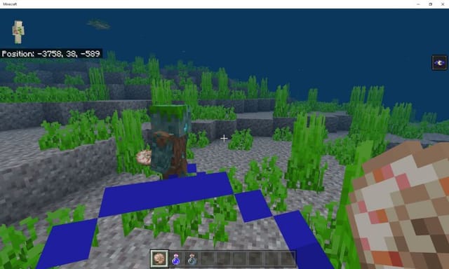 Nautilus Shell in Minecraft: Everything players need to know