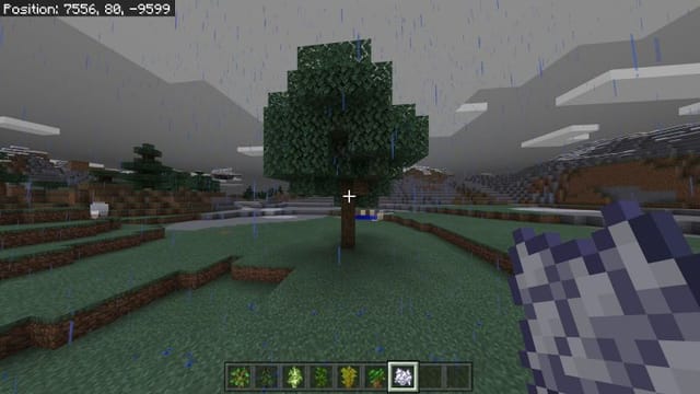 Tree Farming in Minecraft: How to Farm & Use Trees
