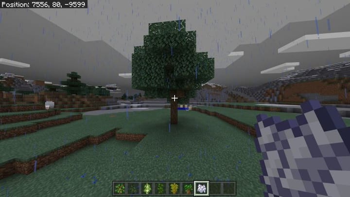 Tree Farming in Minecraft: How to Farm & Use Trees