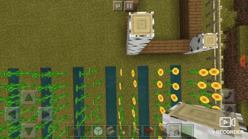 Top 5 uses for sunflowers in Minecraft