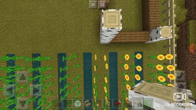 Top 5 uses for sunflowers in Minecraft