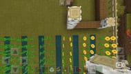 Top 5 uses for sunflowers in Minecraft