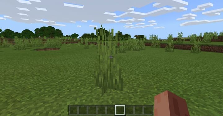 How to get Seeds in Minecraft: All Details you need to know!