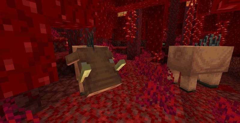 5 best ways to get leather in Minecraft