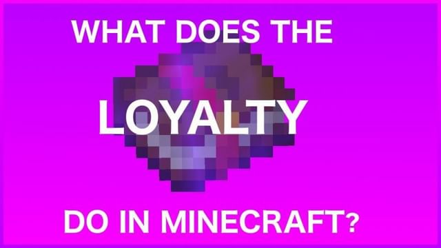Minecraft Loyalty: What does it do?