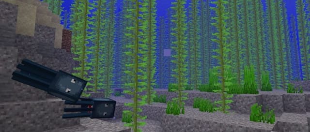 Where to find kelp in Minecraft