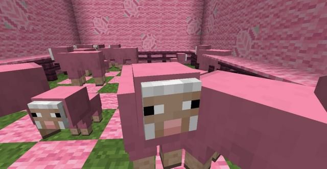 Pink sheep in Minecraft: Everything you need to know