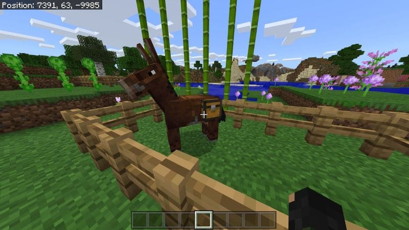 Mules in Minecraft: Spawning, Behavior & Drops