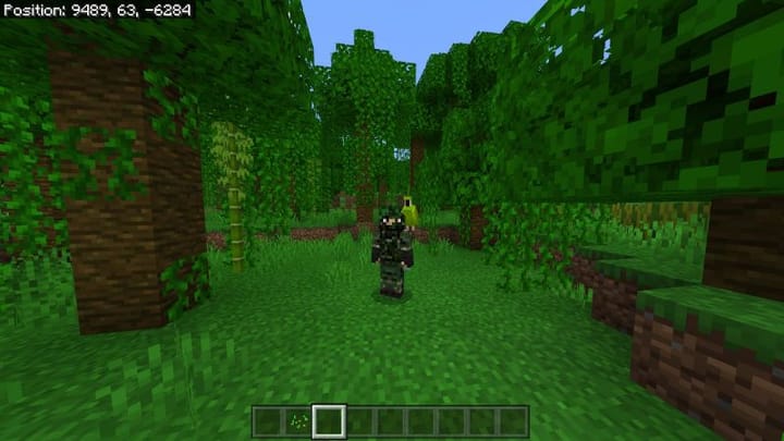 Parrots in Minecraft: Spawning, Behavior & Drops