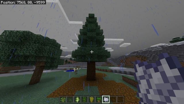 Tree Farming in Minecraft: How to Farm & Use Trees