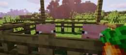 How To Start An Animal Farm In Minecraft