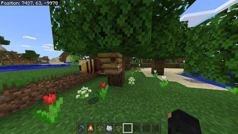 How to Get Honey in Minecraft: All you need to know!