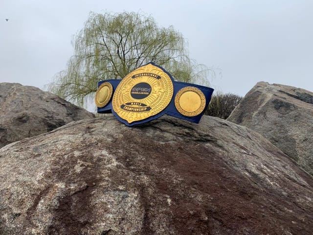 Pro wrestling, International Women's Open Challenge world championship