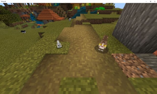 Where to find cats in Minecraft