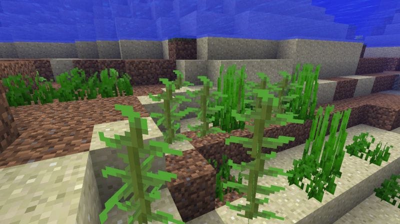 Where to find kelp in Minecraft