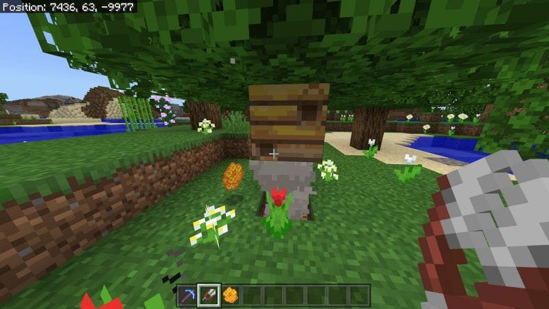 How to Get Honey in Minecraft: All you need to know!