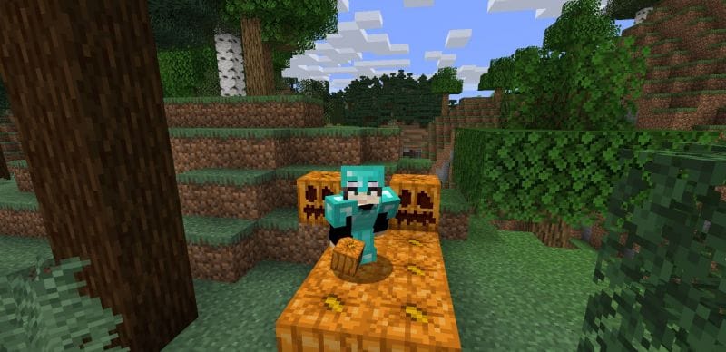 Pumpkins in Minecraft: Everything players need to know
