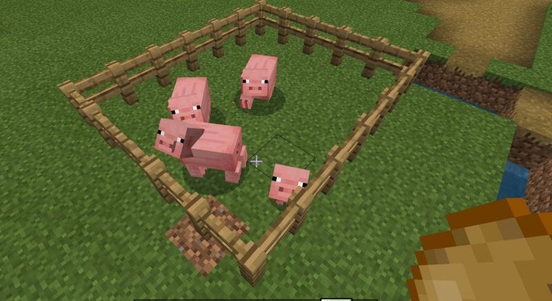 How to breed Pigs in Minecraft: Materials Required, How to breed & Why