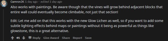 Minecraft Redditor discovers how to make hidden ladders