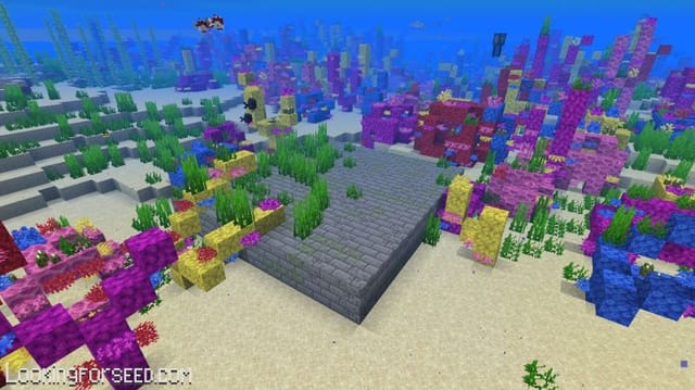 5 best Minecraft Java ocean seeds in 2021
