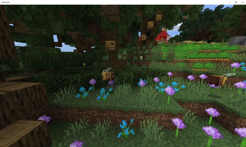 Where do bees spawn in Minecraft?