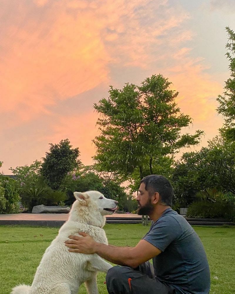 MS Dhoni's House- MS Dhoni Residence, Address & House Photos