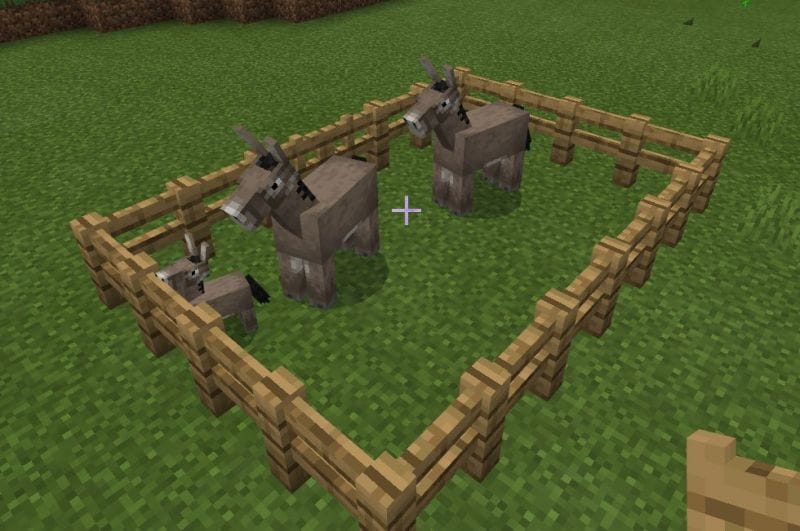 How to Breed Donkeys in Minecraft