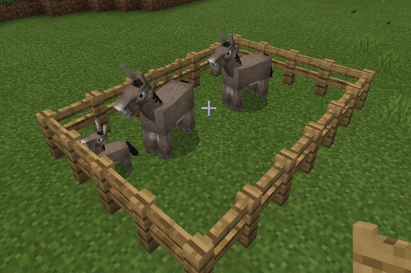 How to Breed Donkeys in Minecraft