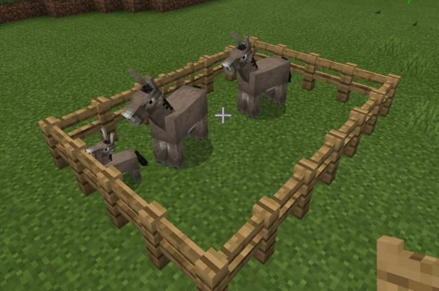How to Breed Donkeys in Minecraft