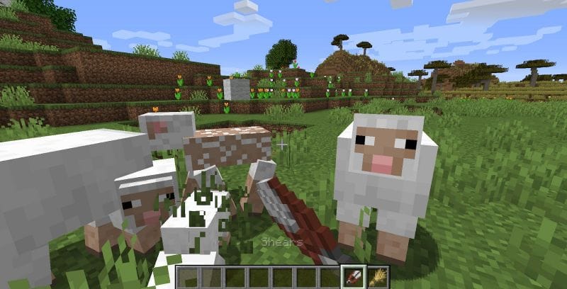 Where to get wool in Minecraft?