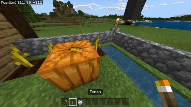 How to Grow Pumpkins in Minecraft: 7 easy Steps