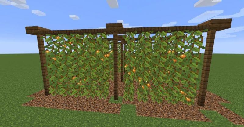 Cave Vines in Minecraft: Everything players need to know