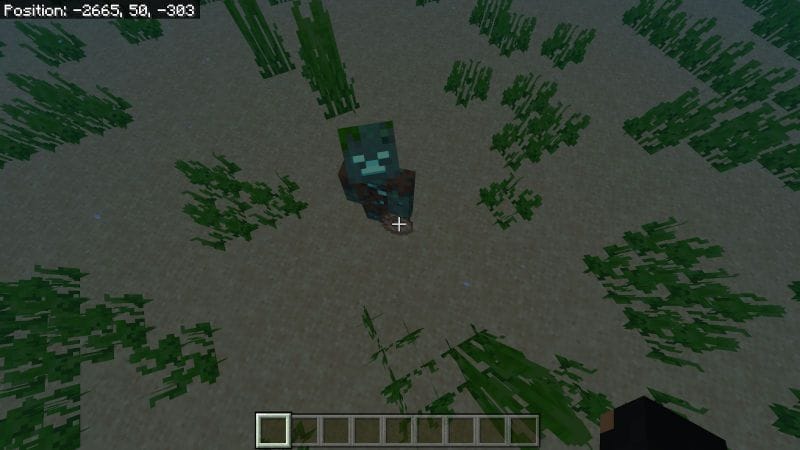 What is Heart of the Sea in Minecraft? How to Find and Use it?