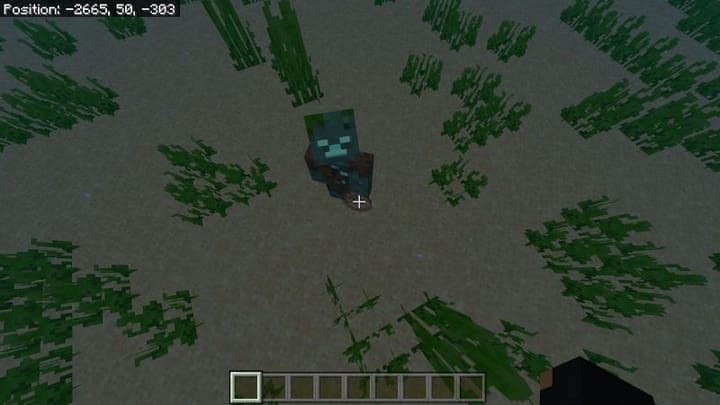 What is Heart of the Sea in Minecraft? How to Find and Use it?