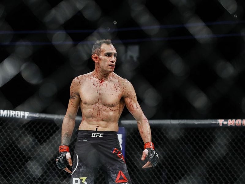 5 highly educated fighters in the UFC