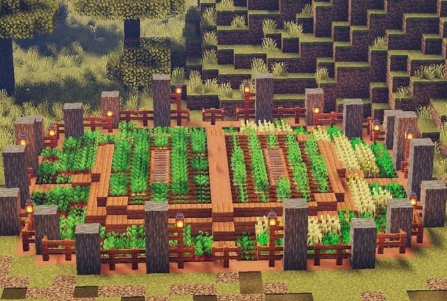 5 best crops for food in Minecraft