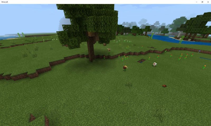 Where do bees spawn in Minecraft?