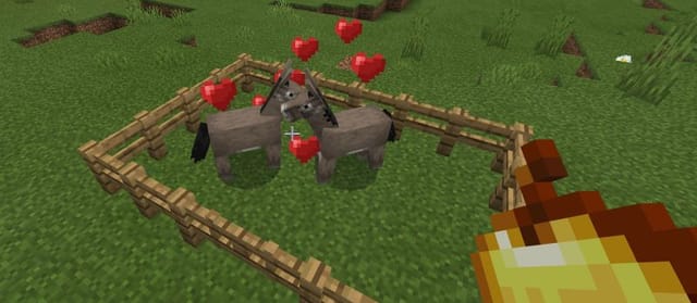 How to Breed Donkeys in Minecraft