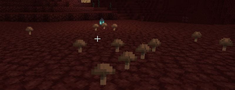 How to grow Mushrooms Minecraft: Materials Required, Growing Conditions ...