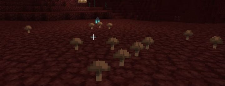 How to grow Mushrooms Minecraft: Materials Required, Growing Conditions ...