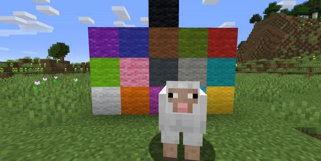 Where to get wool in Minecraft?