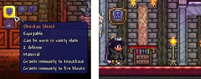 How to get the Ankh Shield in Terraria: All you need to know!
