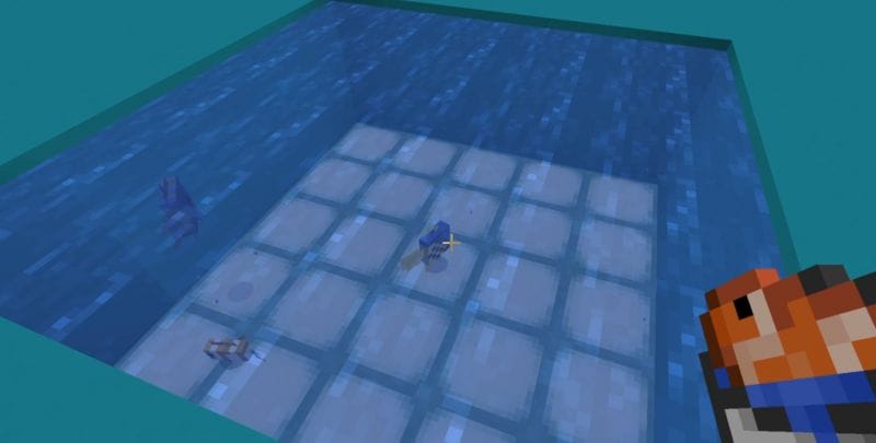 Minecraft Redditor creates datapack which allows players to customize fish