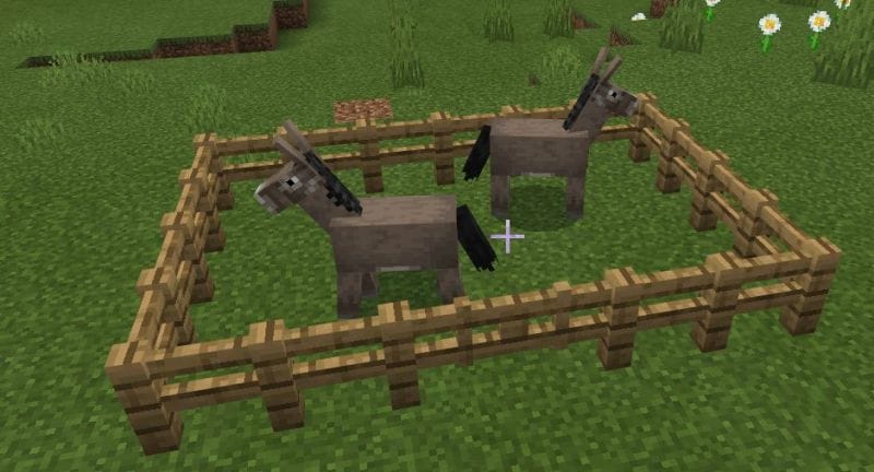 How to Breed Donkeys in Minecraft