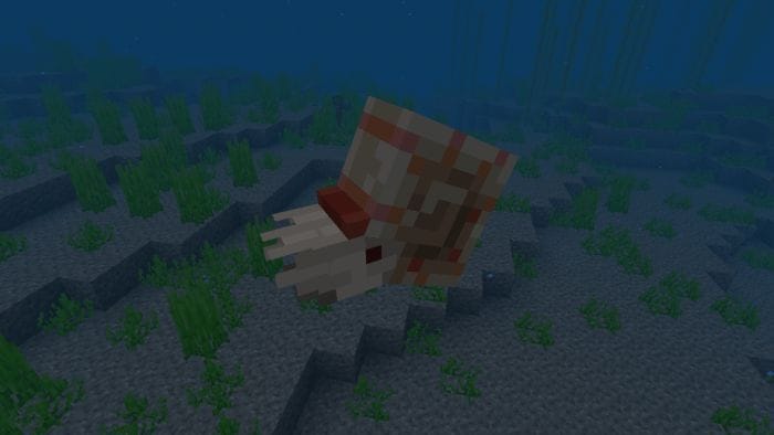 List of things Minecraft players can get from fishing